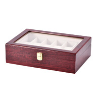 JQUEEN 12 Piece Watch Box & Case Singapore
